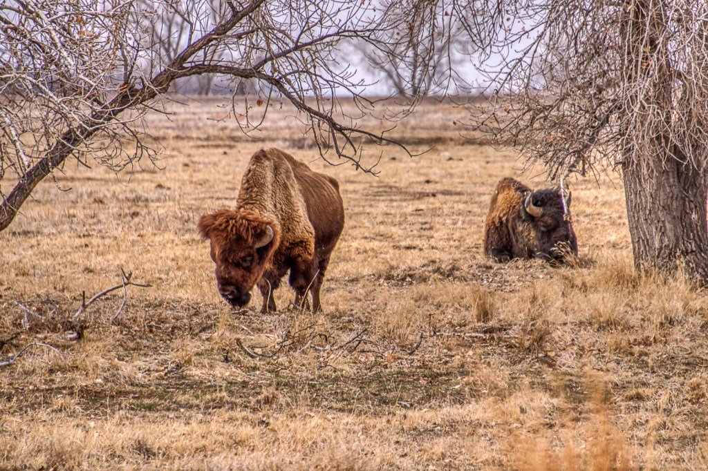 History of Barr Lake State Park – Friends of Barr Lake