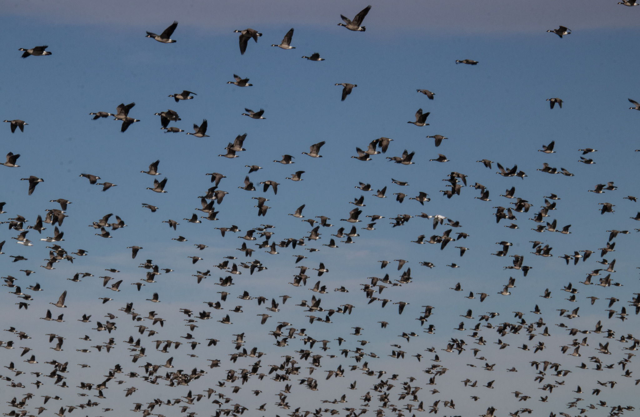 Fishing at Barr Lake State Park – Friends of Barr Lake