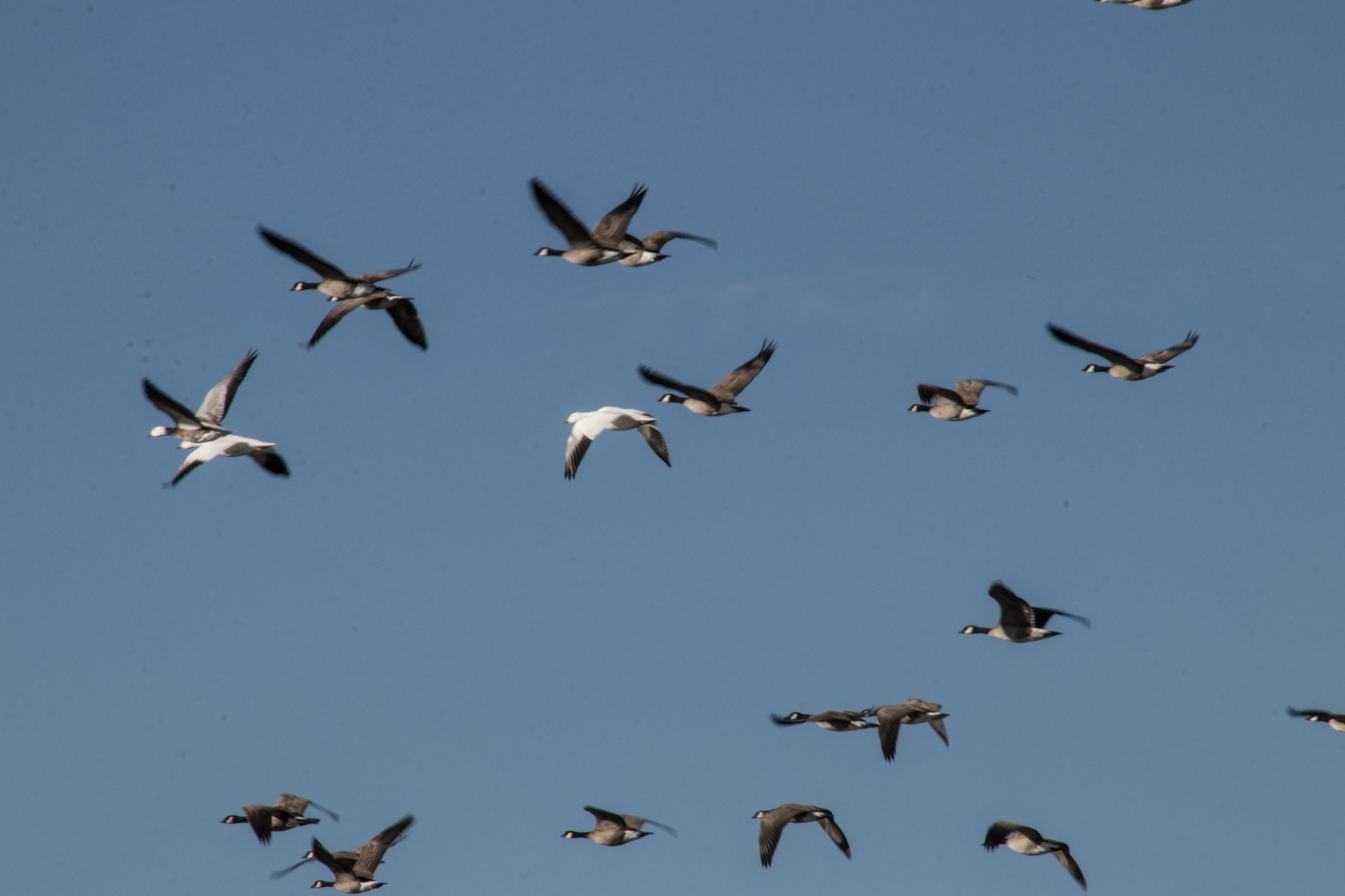 Fishing at Barr Lake State Park – Friends of Barr Lake