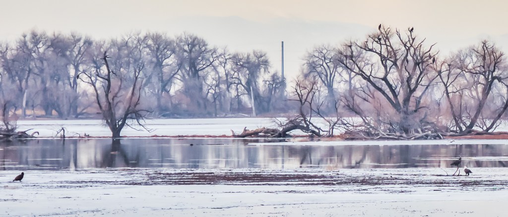 Friends of Barr Lake – Partners through education, recreation, and ...